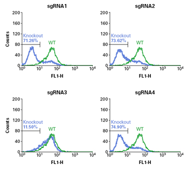 选对sgRNA，CRISPR实验成功率更有保证