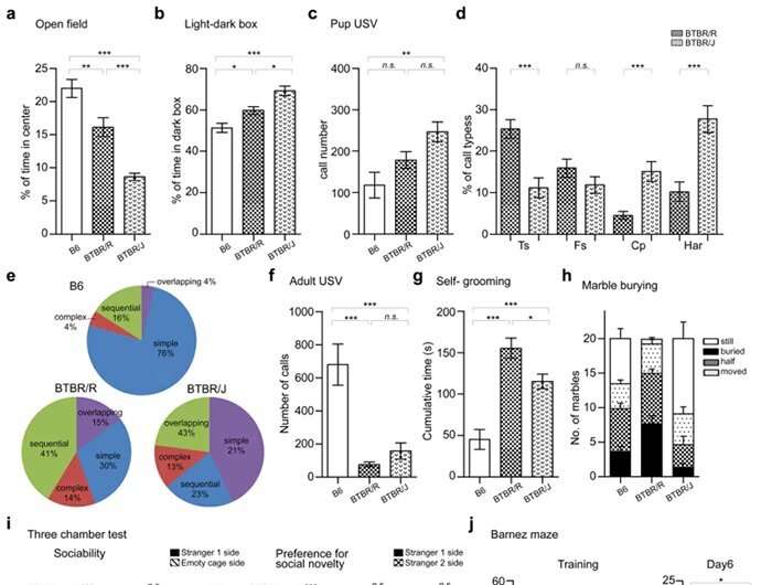 古老的病毒基因组会导致自闭症？ - 生物通