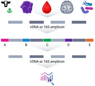 PacBio重磅推出Kinnex系列试剂盒 - 生物通