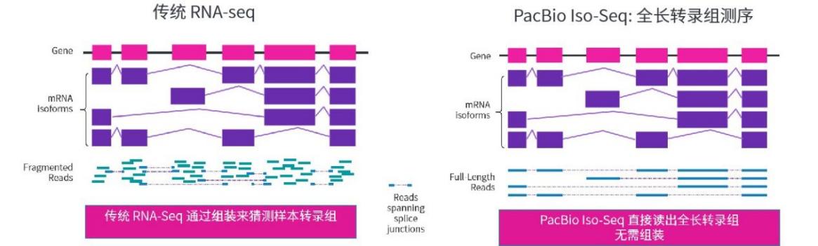 PacBio重磅推出Kinnex系列试剂盒 - 生物通