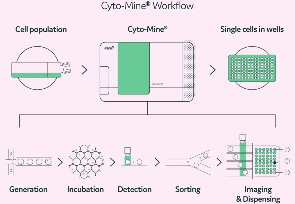 新一代微流控单细胞分析筛选系统，让抗体发现如虎添翼！ - 生物通