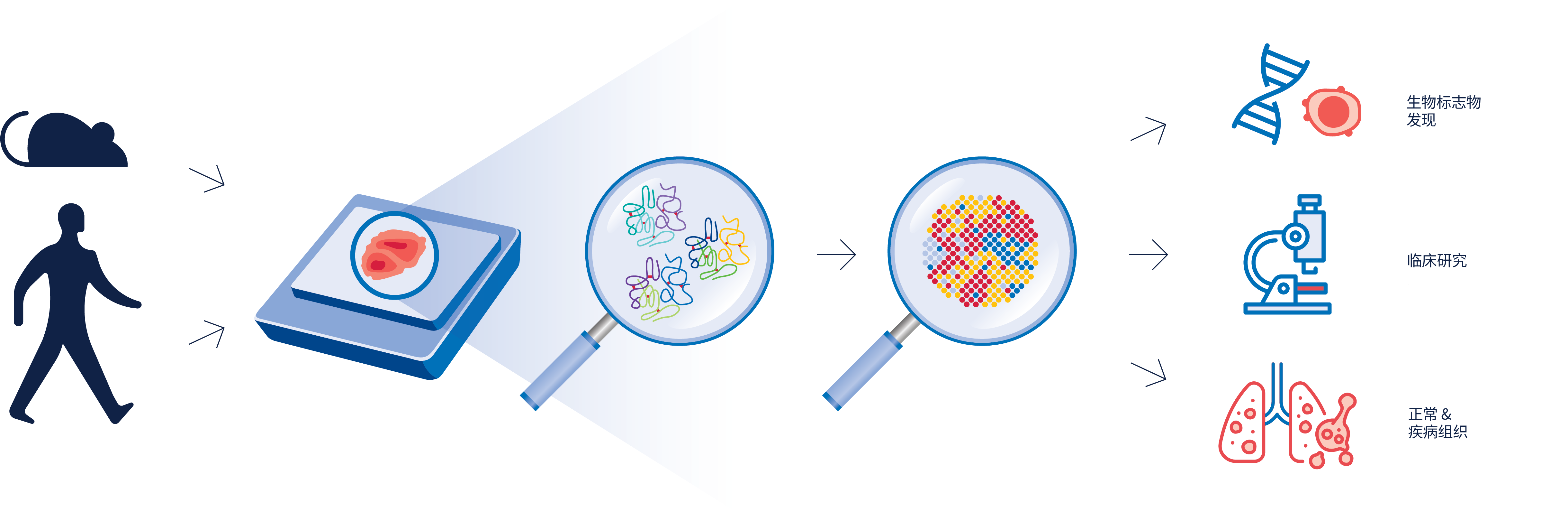 Visium Spatial Platform