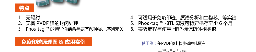 Phos-tag分离磷酸化蛋白新方法