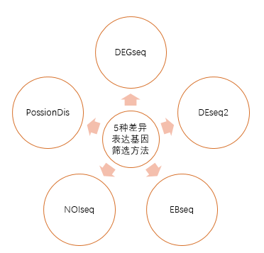 RNA-Seq 信息分析扩容版 ——大容量，汇精华