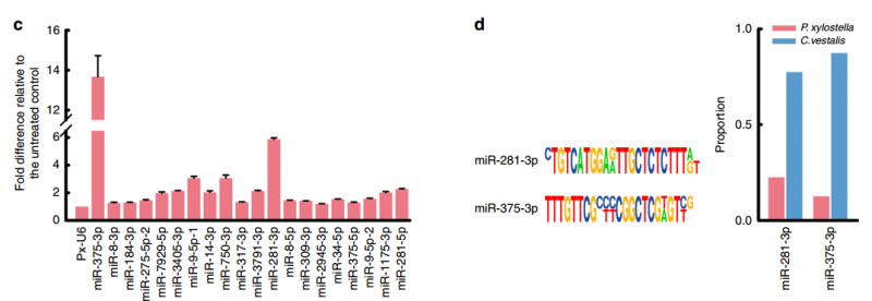 UMI Small RNA 测序