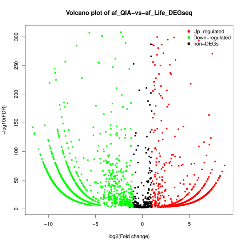 UMI Small RNA 测序