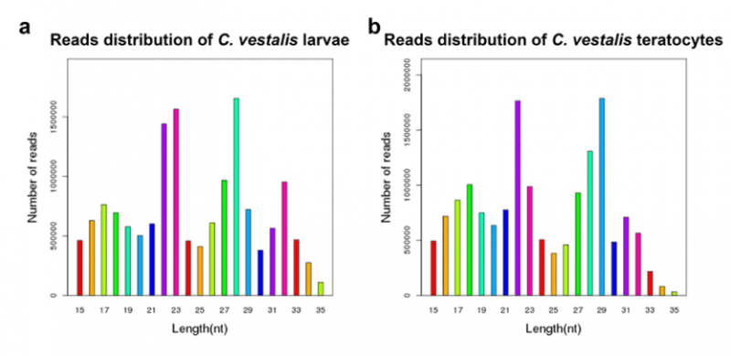 UMI Small RNA 测序