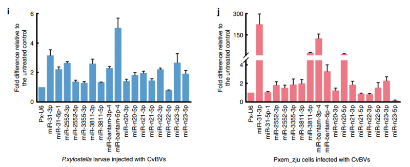 UMI Small RNA 测序