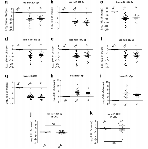 UMI Small RNA 测序