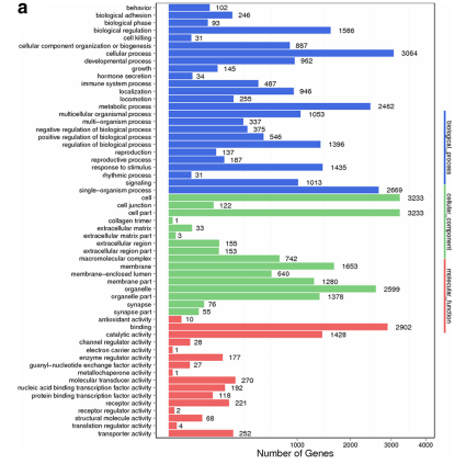 UMI Small RNA 测序
