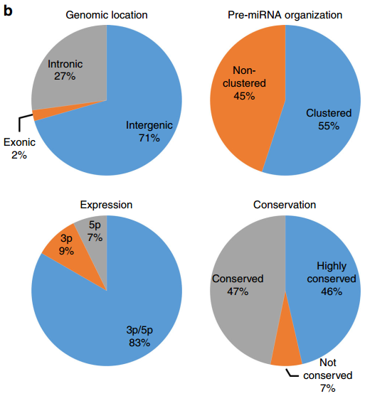 UMI Small RNA 测序