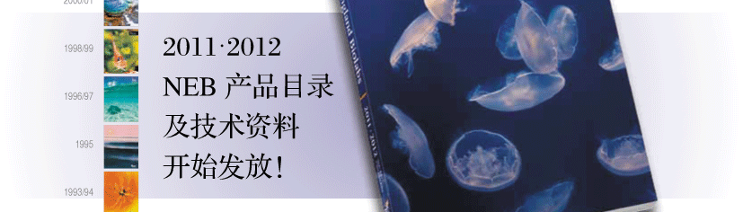 2011~2012 NEB 产品目录及技术资料开始发放！