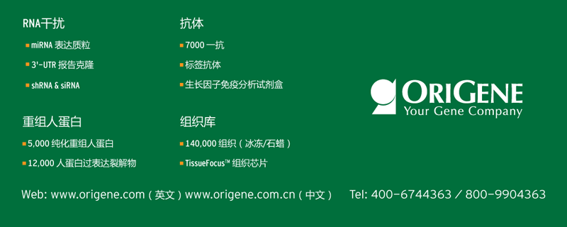 TrueORF: 新增15,000条ORF克隆，买赠送转染试剂或抗体 | OriGene Technology Inc. (傲锐东源) - 生物通