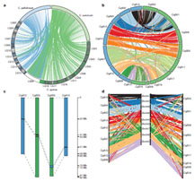 PacBio第三代测序技术引领基因测序新篇章