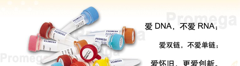 Promega 限制性内切酶 5折优惠继续进行中...