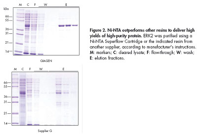 Ni-NTA Superflow 预装柱特价时间延长啦！Qiagen