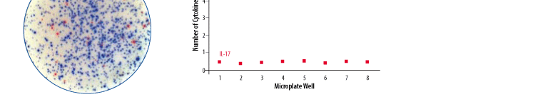 双色ELISpot试剂盒---一种同时检测两个细胞因子分泌的简单方法 | 促销活动开始啦！打折送礼奖不停! - 生物通