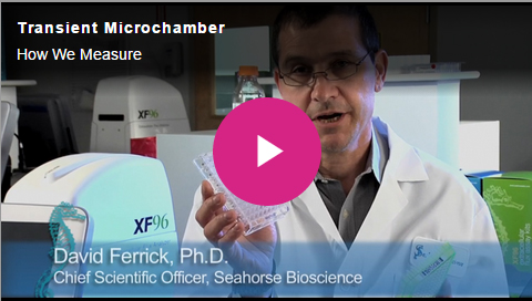 Agilent Seahorse XF Technology Overview EN CN