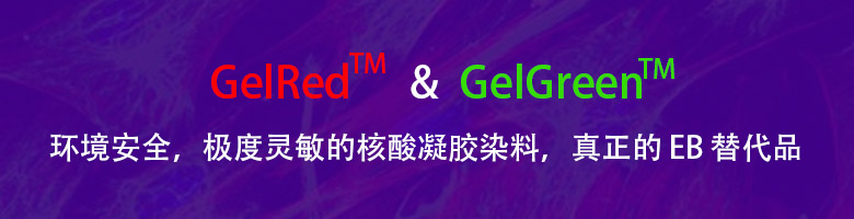 GelRed™ & GelGreen™ 环境安全，极度灵敏的核酸凝胶染料，真正的 EB 替代品