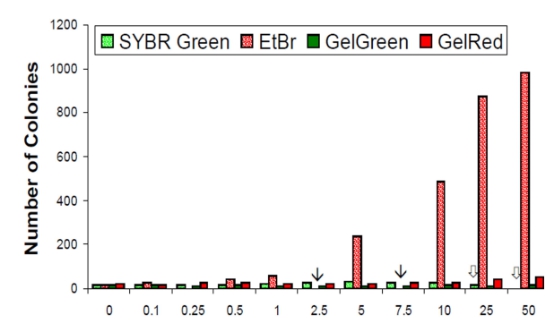GelRed™ & GelGreen™ 环境安全，极度灵敏的核酸凝胶染料，真正的 EB 替代品