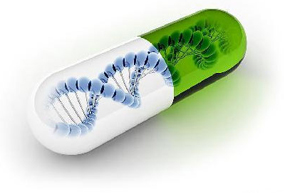 Science解析不同寻常的RNA