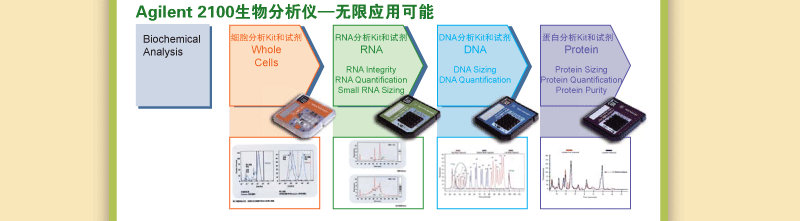 Agilent 2100 Bioanalyzer用户交流会