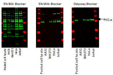 强强联手，演绎“完美”