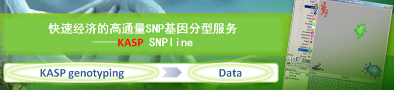 基因有限公司将快速经济的高通量SNP基因分型服务平台----KASP高通量基因分型平台引进中国啦