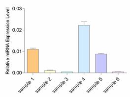 MicroRNA全解决方案 | 深圳市华安平康生物科技有限公司