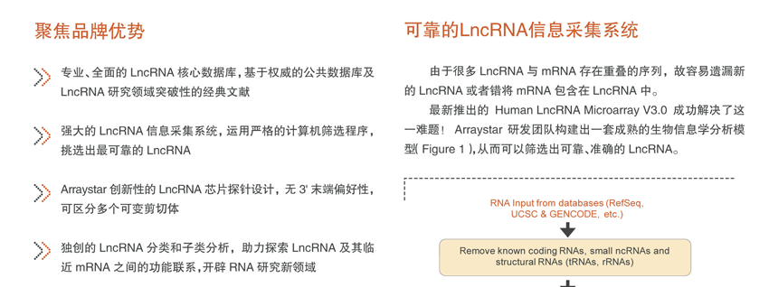 Arraystar LncRNA V3.0 Microarray 康成生物独家提供技术服务