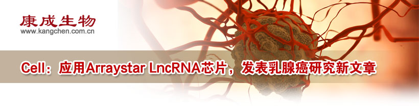 Cell：应用Arraystar LncRNA芯片，发表乳腺癌研究新文章
