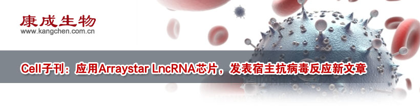 Cell 子刊：应用Arraystar LncRNA芯片，发表宿主抗病毒反应新文章