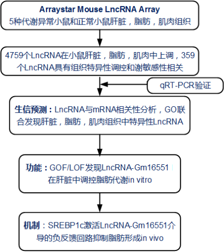 Cell Metabolism：应用Arraystar LncRNA芯片，研究小鼠代谢疾病