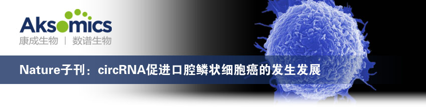 Nature子刊：circRNA促进口腔鳞状细胞癌的发生发展