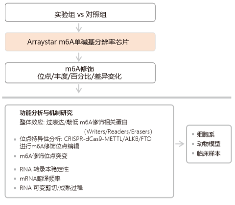 Arraystar m6A单碱基分辨率芯片