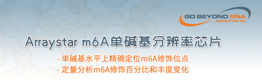 Arraystar m6A单碱基分辨率芯片