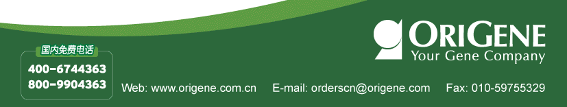 订购shRNA产品，立享9折优惠！ | 北京傲锐东源生物科技有限公司 - 生物通