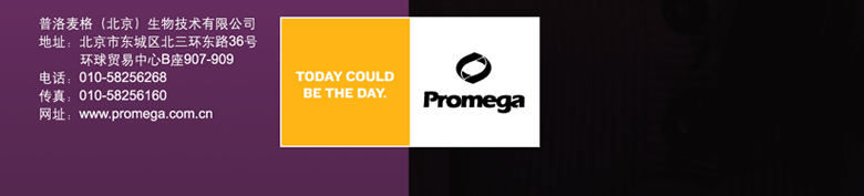 Glo,荧光素酶发光报告基因检测系统 准确地定量细胞信号通路中的变化 | Promega - 生物通