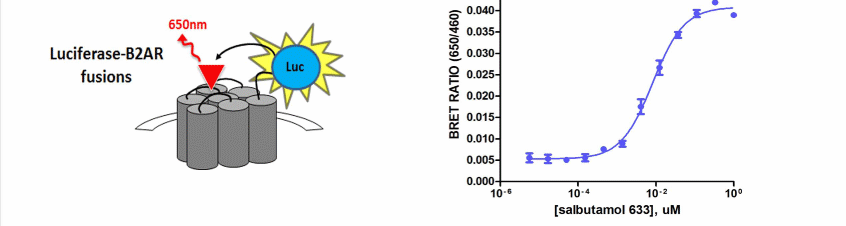 Nanoluc 新型荧光素酶 ; 免费赠送nanoluc载体