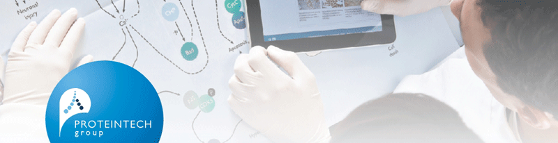 Proteintech十年庆典，感恩回馈，优质现货一抗最低可享七折优惠！