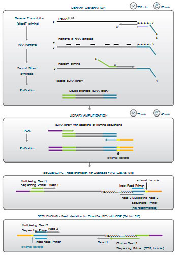 Lexogen公司QuantSeq Expression Profiling Library Prep Kits - 用于表达谱文库构建