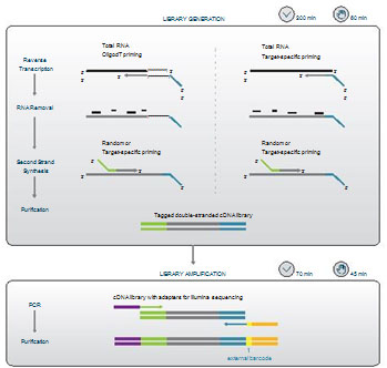 Lexogen公司QuantSeq Expression Profiling Library Prep Kits - 用于表达谱文库构建