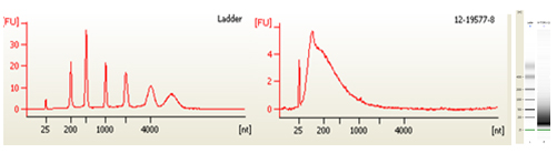 上海伯豪FFPE样本高通量检测解决方案