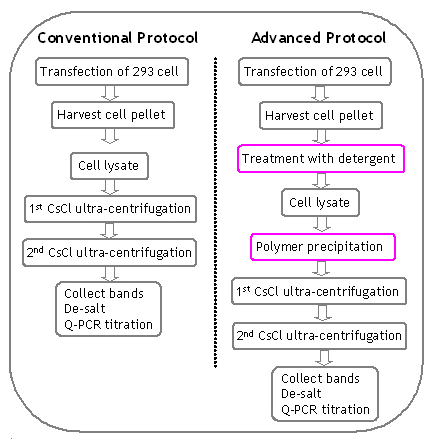 免费试用 SignaGen® 转染试剂 超过3000余篇世界顶级科技文献引用