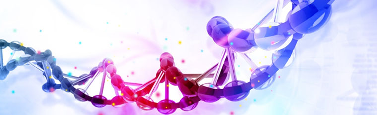 Guide-it™长ssDNA制备系统