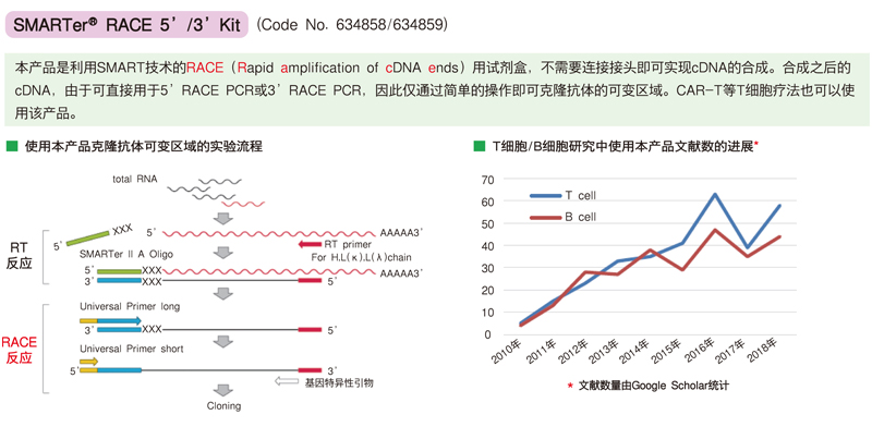 SMARTer RACE技术在CAR-T研究中的应用