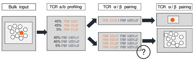 单细胞TCR-Seq技术——更高效的TCR a/b 链配对分析