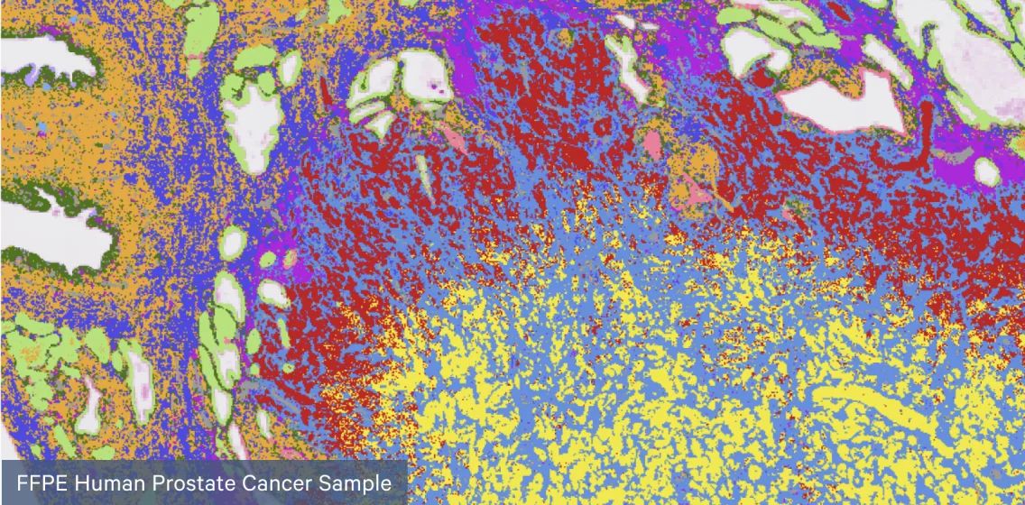 Visium HD Spatial Gene Expression - 10x Genomics