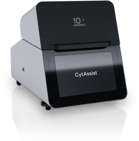 Visium HD Spatial Gene Expression - 10x Genomics