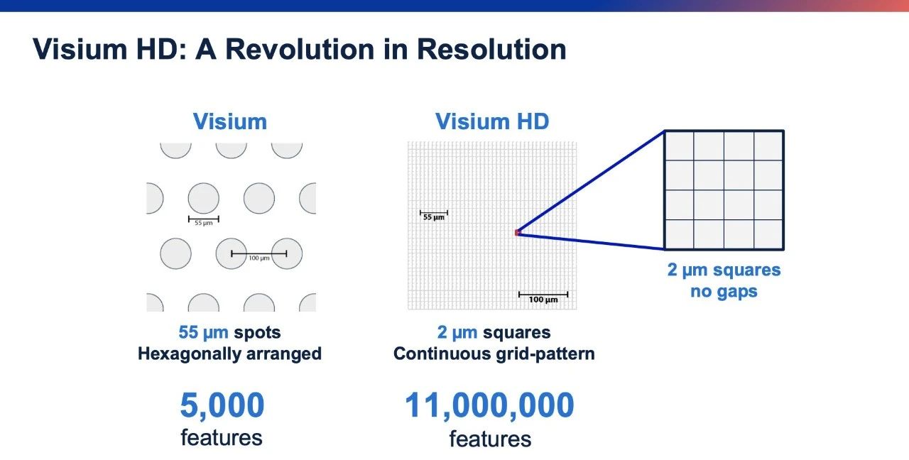 Visium HD Spatial Gene Expression - 10x Genomics